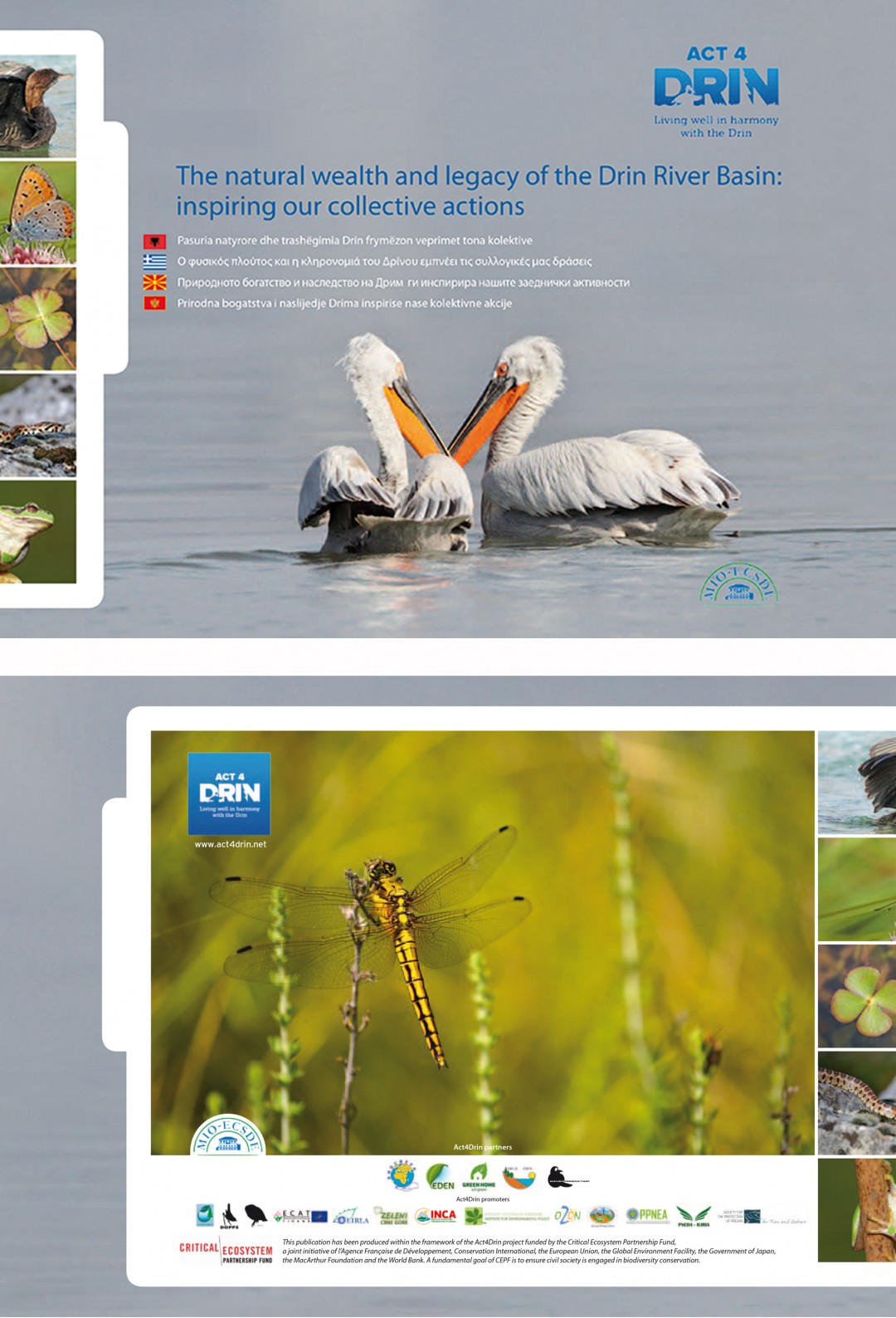 The natural wealth and legacy of the Drin River Basin: inspiring our ...