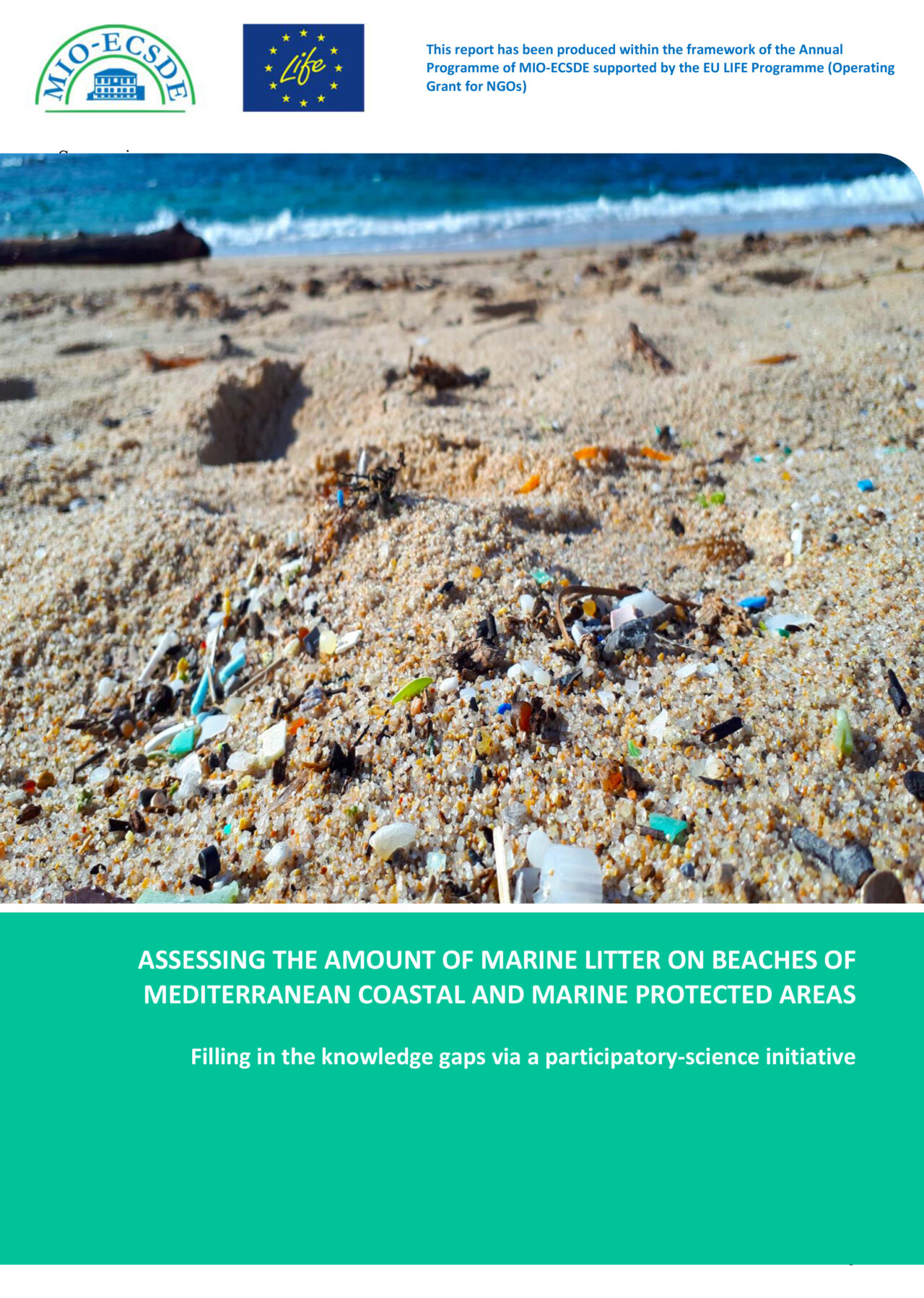 Assessing the amount of marine litter on beaches of Mediterranean ...